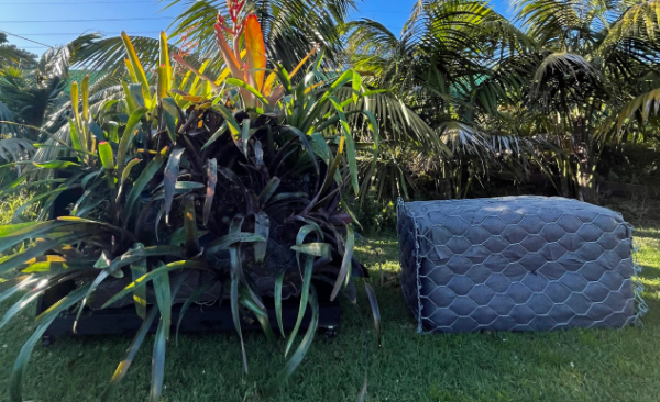 Green Gabions: Planters of the Future - The Greenwall company